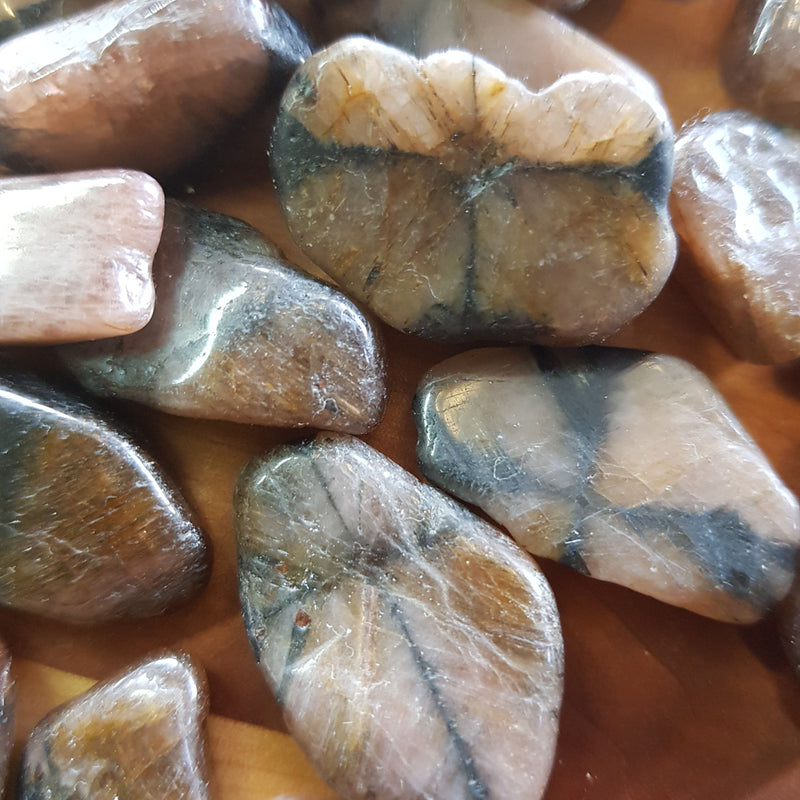 Chiastolite – Inspire Me Online