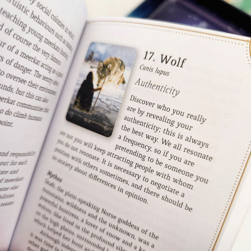 Divine Animals Oracle Cards (44 cards & guidebook) – Inspire Me Online