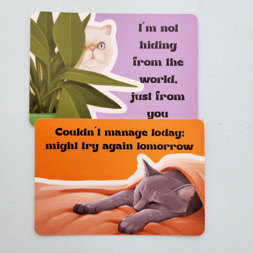 Cattitude Cards (24 cards. attitude of the day. cat editioon) – Inspire ...