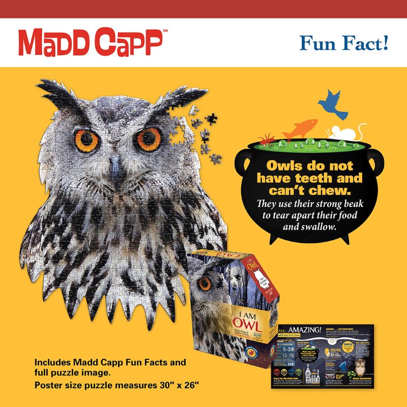 I AM OWL MaDD CaPP Puzzle (300 pieces) – Inspire Me Online