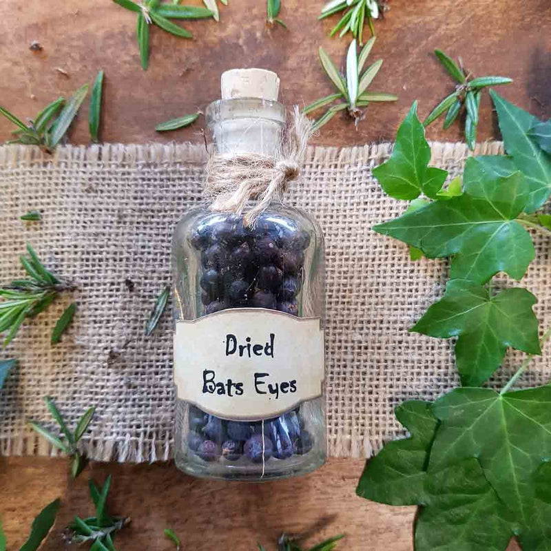 Dried Bats Eyes (assorted medium) from The Potion Master – Inspire Me ...