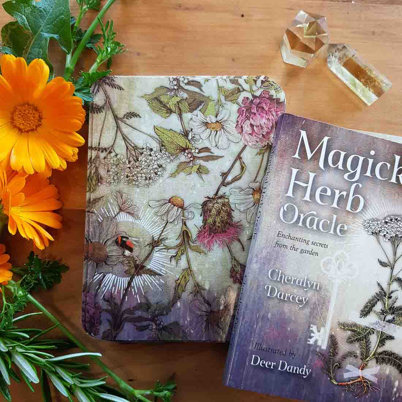 Magickal Herb Oracle Cards (enchanting secrets from the garden. 36 car ...