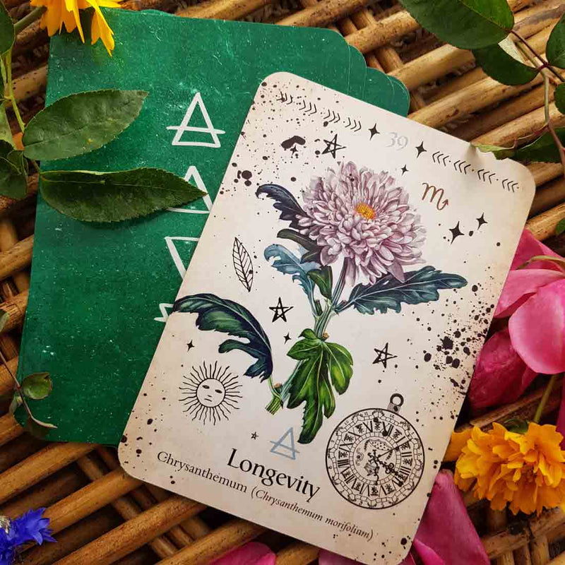 Green Witch Oracle Cards (discover real secrets of botanical magick. 4 ...