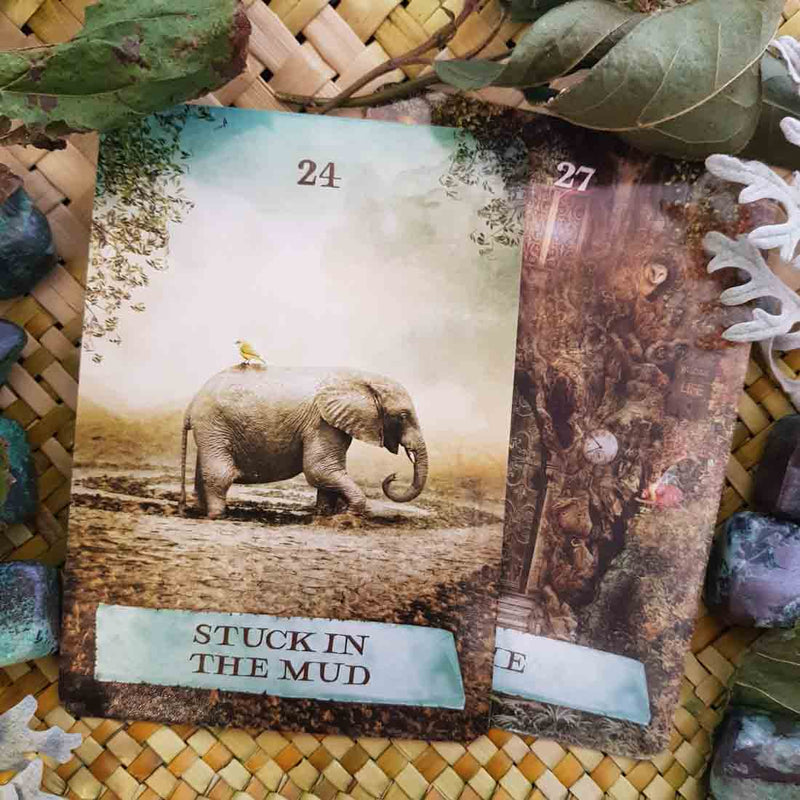 The Enchanted Map Oracle Cards by Colette Baron Reid – Inspire Me Online