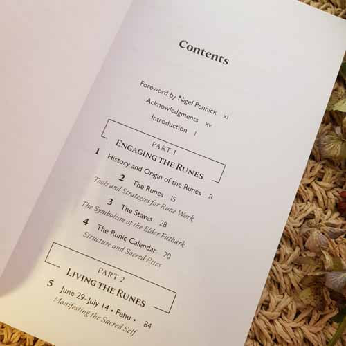 Runic Book of Days (a guide to living the annual cycle of rune magick ...