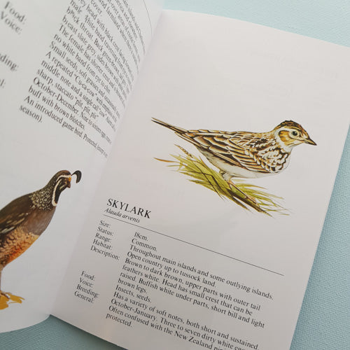 Know Your New Zealand Birds. (native land birds, introduced land birds ...