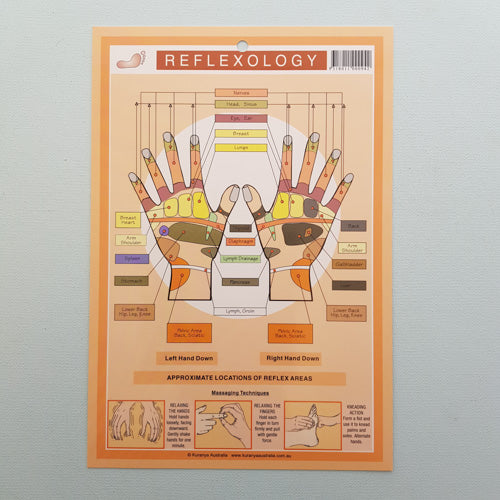 Reflexology Chart (approx. 24x16cm) – Inspire Me Online