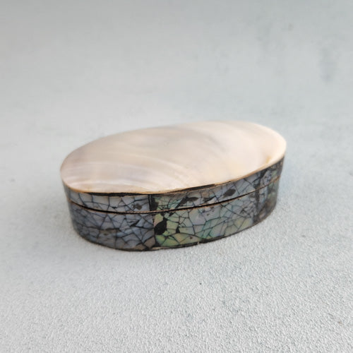 Shell Trinket Box (assorted. approx. 2.8x4.5x8.2cm) – Inspire Me Online