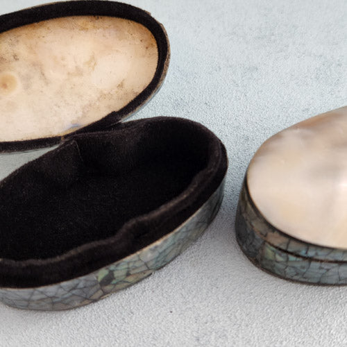 Shell Trinket Box (assorted. approx. 2.8x4.5x8.2cm) – Inspire Me Online