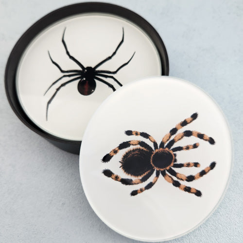 Spider Coasters (approx. 10x10cm) – Inspire Me Online