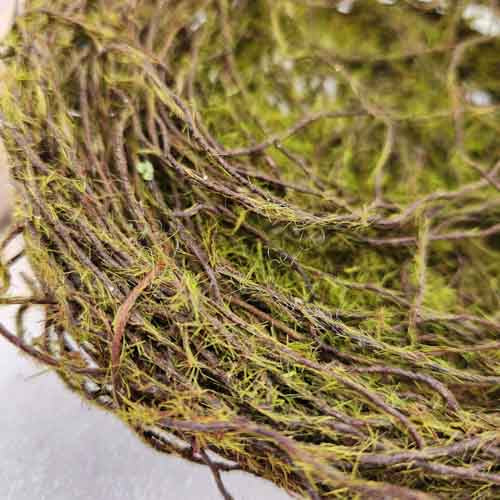 Fairy Nest (approx. 15x15cm) – Inspire Me Online