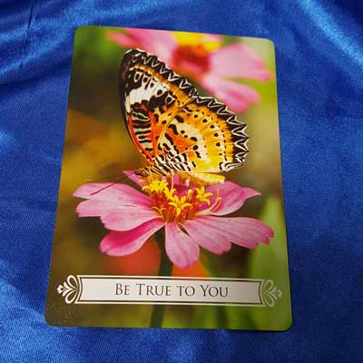 Butterfly Oracle Cards For Life Changes – Inspire Me Online